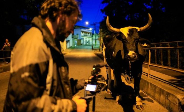 Alteração! Filme do boi barrosense será exibido no Teatro Iracema Rocha ...