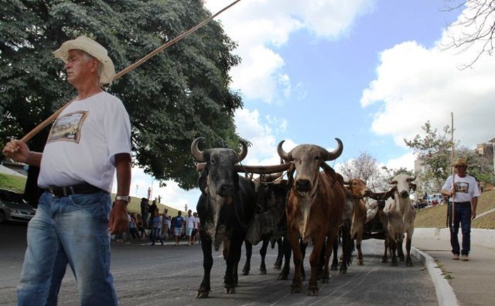 Vem aí o 6º Encontro de Carros de Boi de Barroso - barrosoemdia